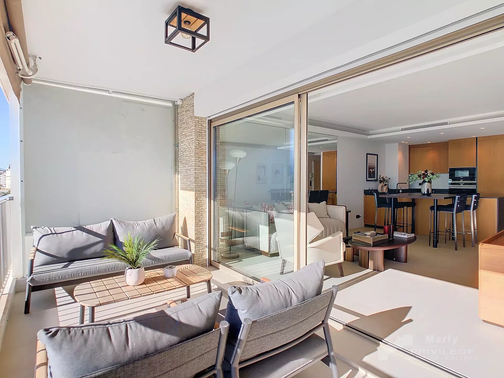 Vente appartement appartement 3 pieces cannes croisette